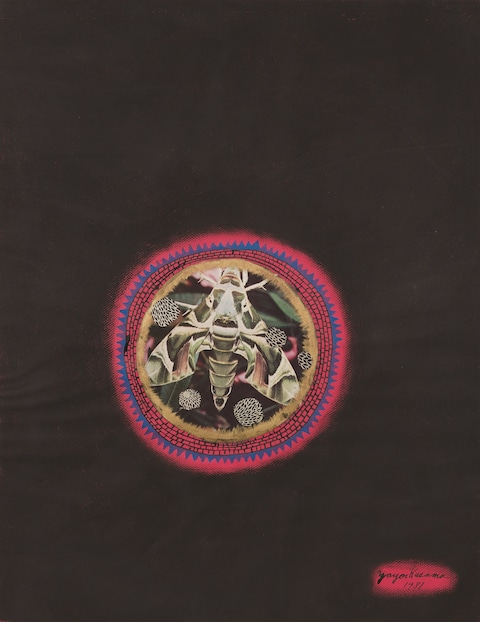 Yayoi Kusama’s 1980s Nature Collages | AnOther