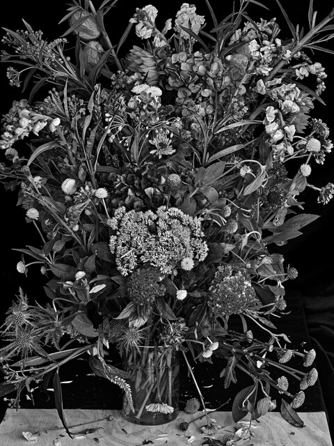 Delirious Photographs of Flowers Which Began as a Birthday Gift | AnOther