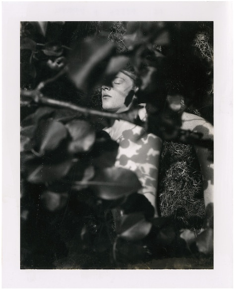 Collier Schorr on Her New Photo Book: “There’s a Lot of Guilt in the ...