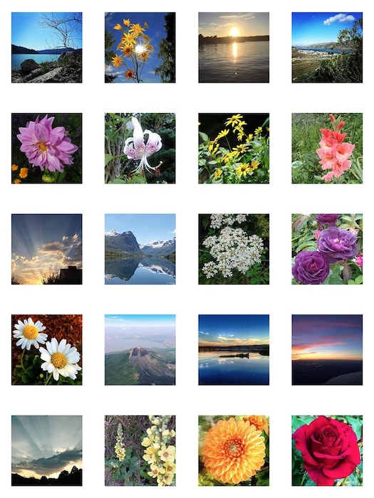How Instagram is Reconfiguring the Creative Landscape | AnOther
