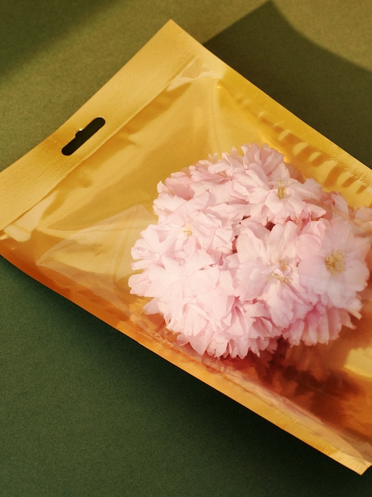 Photographs of Flower Arrangements in Plastic Bags | AnOther
