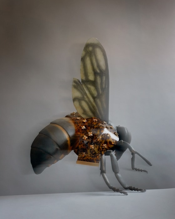 World of Bees: Alexander McQueen Accessories S/S13 | AnOther