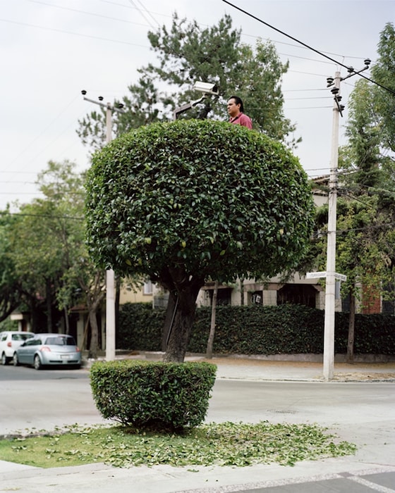 People in Topiary Trees | AnOther