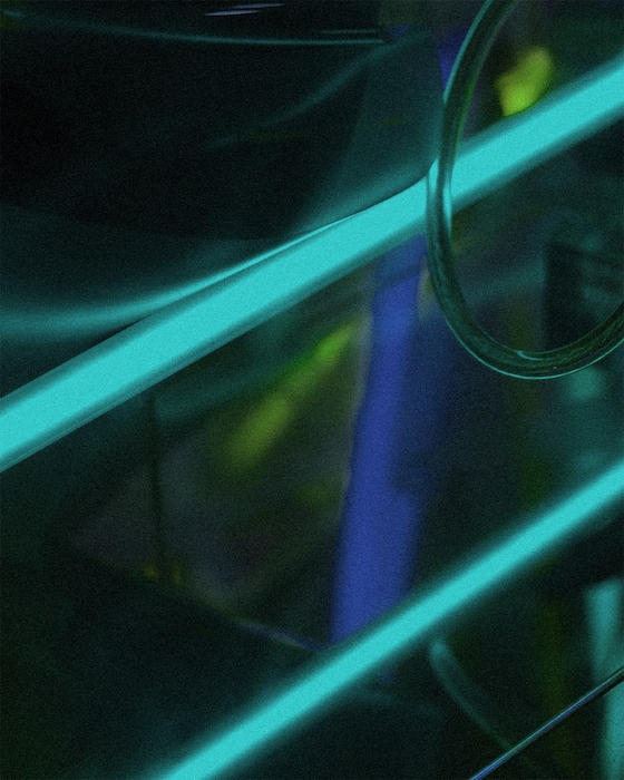 What Role Does Neon Play in Contemporary Culture? | AnOther