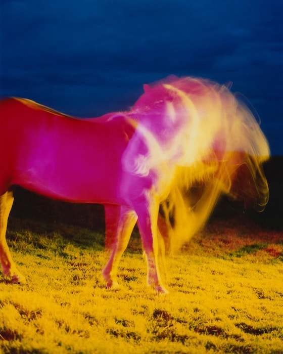 Gareth McConnell’s Magical Photographs of Iceland’s Wild Horses | AnOther