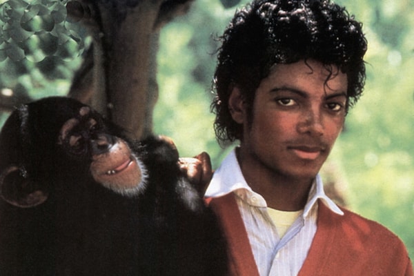 Michael Jackson's Chimpanzee | AnOther