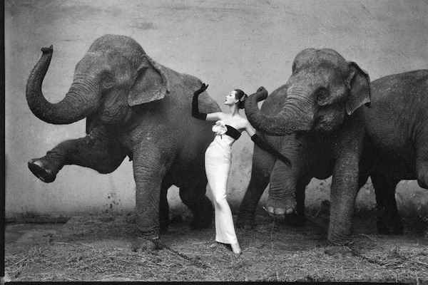 Dovima: The Divine Inspiration of a Muse | AnOther