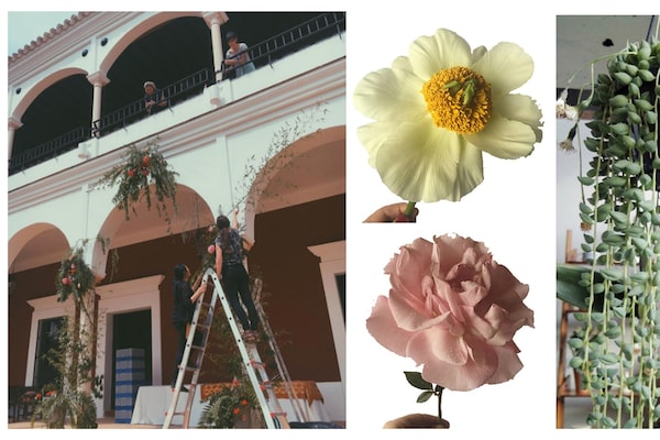 Floral Friday: Three Instagram Accounts to Follow Now | AnOther