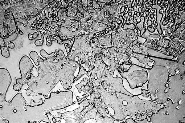 A Topography of Tears | AnOther