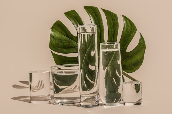 This New York-Based Artist is Finding New Depth in a Glass of Water ...