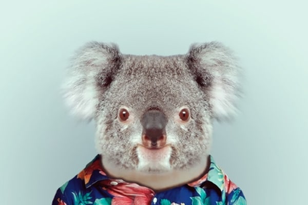 Zoo Portraits by Yago Partal | AnOther