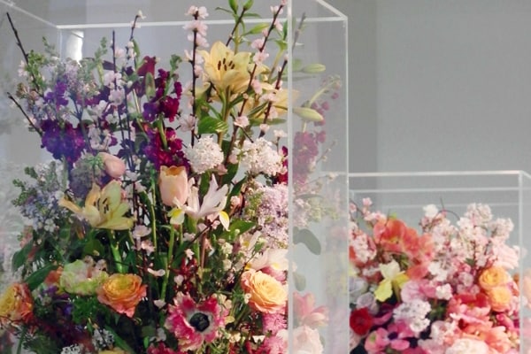 The Jil Sander Florist: Mark Colle | AnOther