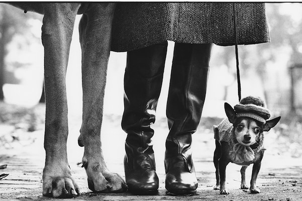 Dogs by Elliott Erwitt | AnOther