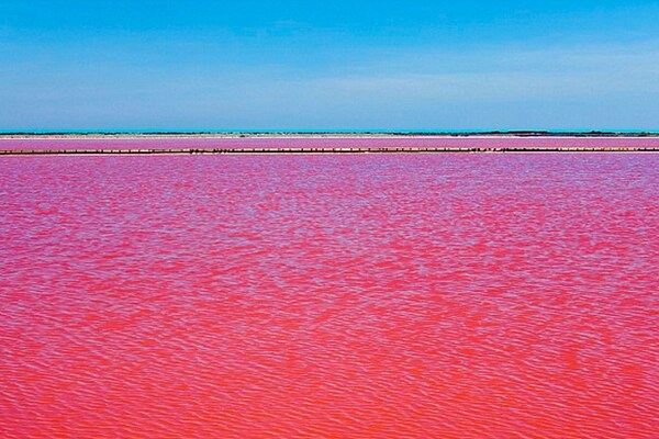 A Bright Red Lake in Camargue, France | AnOther