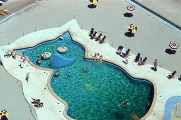 Cat-Shaped Pool | AnOther