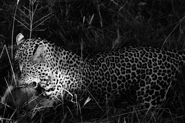 Daisy Walker’s New Photo Book Is a Love Letter to the Natural World ...