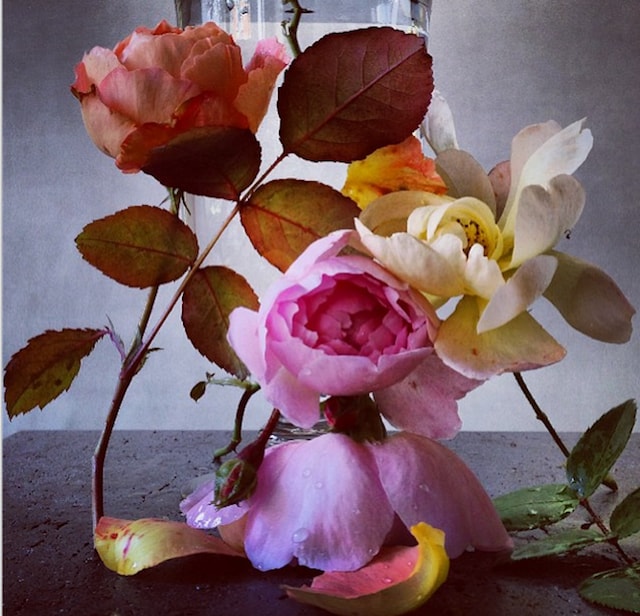 Nick Knight on the Changing Face of Fashion Photography | AnOther