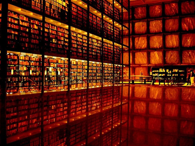 Top 10 Amazing Libraries | AnOther