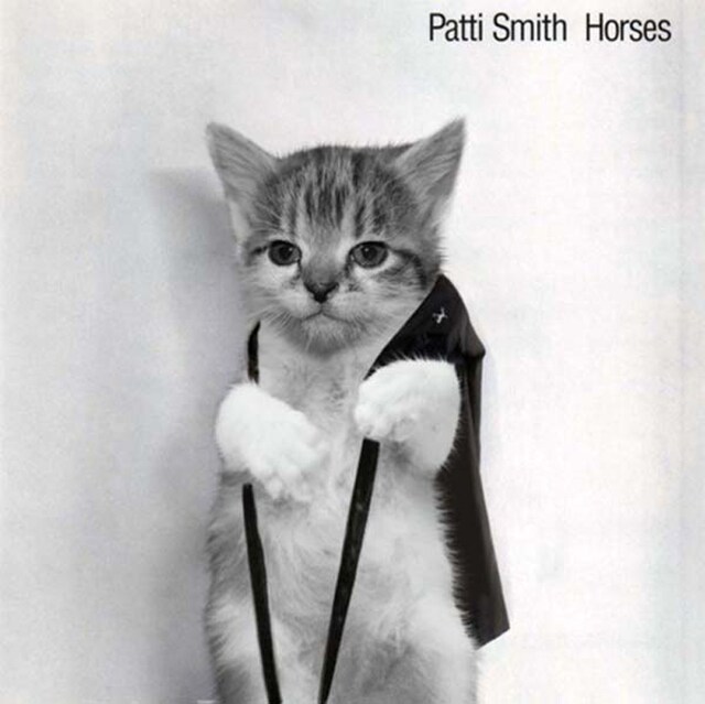 The Kitten Covers | AnOther