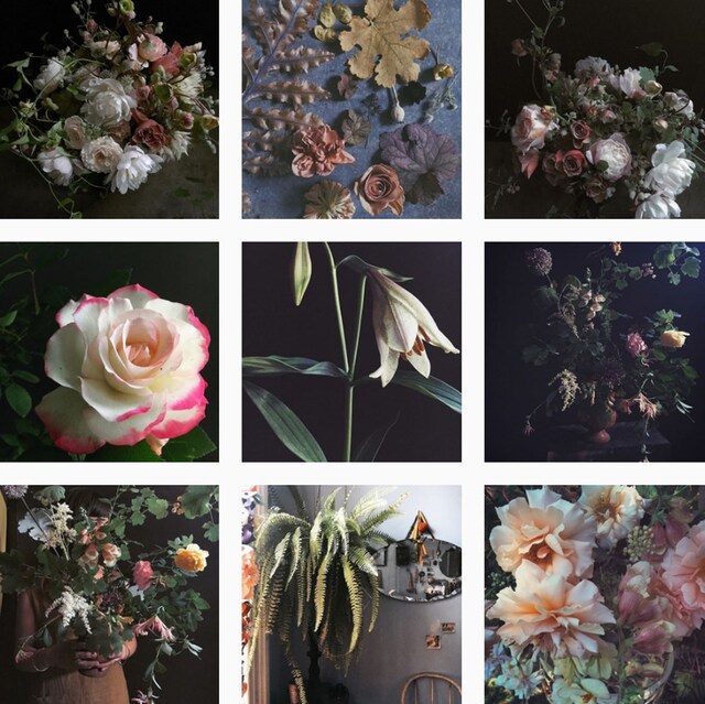 Floral Friday: Three Instagram Accounts to Follow Now | AnOther