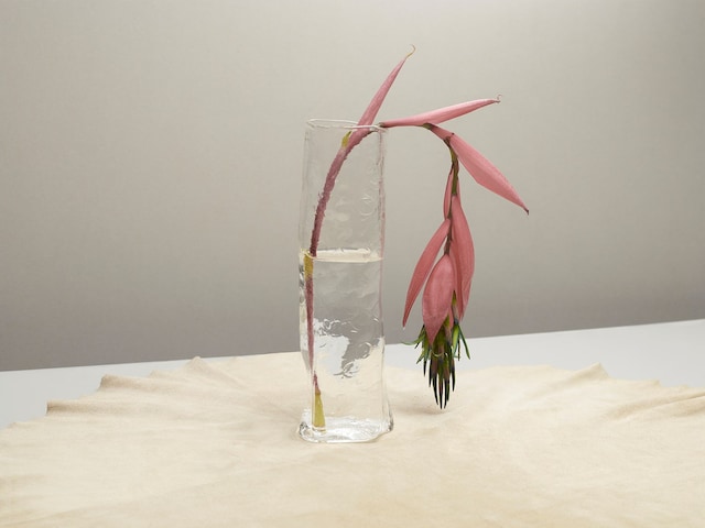 The Set Designers Reinterpreting the Scent of Perfume | AnOther