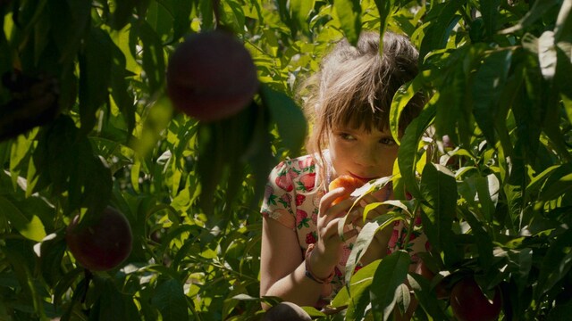 Alcarràs: A Portrait of a Catalan Family Farm Fighting for Survival ...