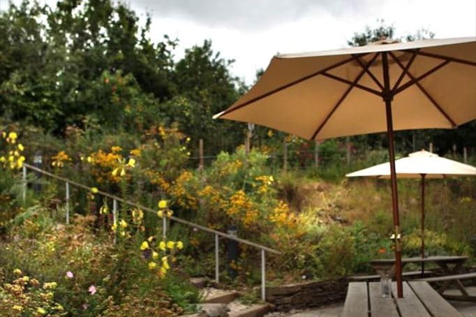Riverford Farm and Field Kitchen | AnOther
