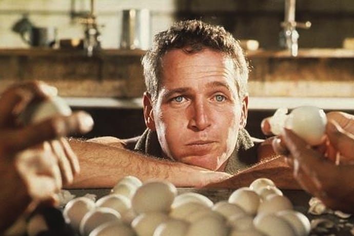 Cool Hand Luke Eggs