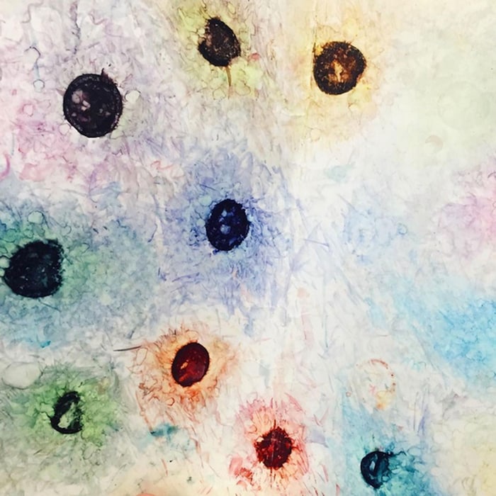 Technicolour Treasures: Thomas Prior’s Instagram | AnOther
