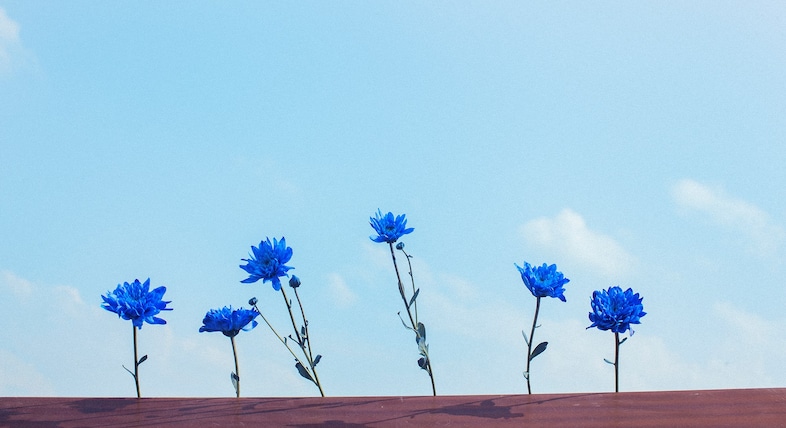 The Agony Plant on How to Make Your Balcony Bloom | AnOther