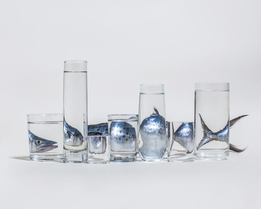 This New York-Based Artist is Finding New Depth in a Glass of Water ...