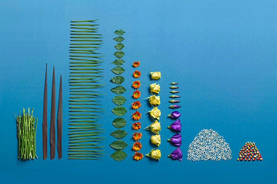 Things Organised Neatly | AnOther