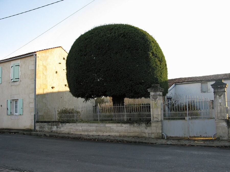 Intervening in the Everyday with Artist Peter Regli | AnOther