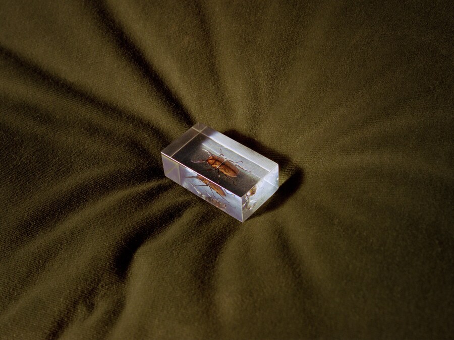 Gucci’s New Campaign Stars Share Their Favourite Objects | AnOther