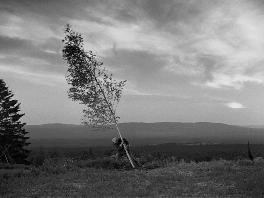 A Five-Point Guide to Cult Filmmaker Ingmar Bergman | AnOther