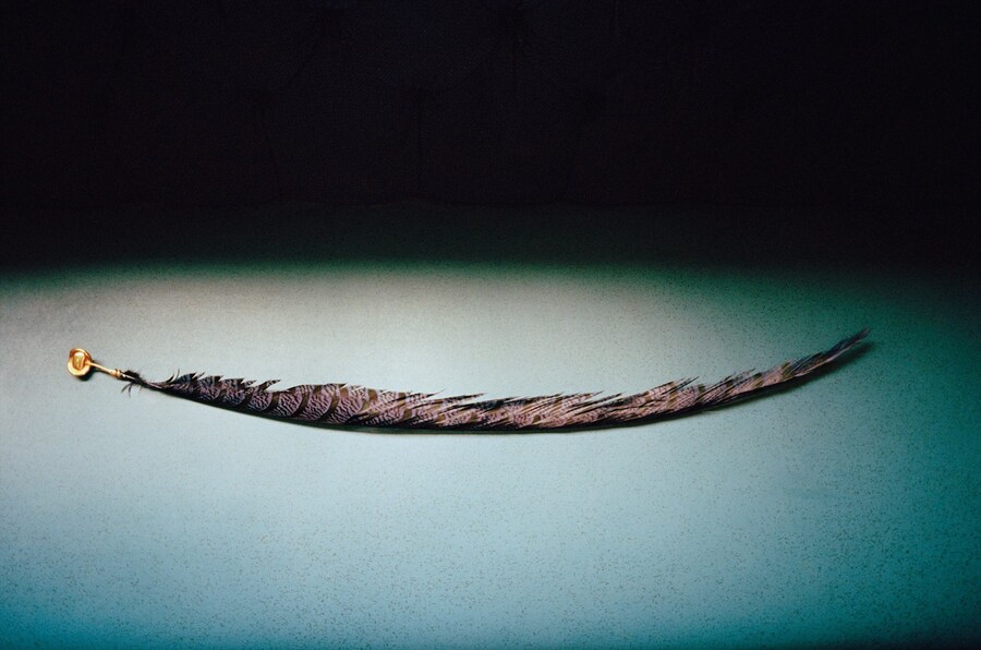 Why We Love the Unapologetic Campness of Feathers | AnOther