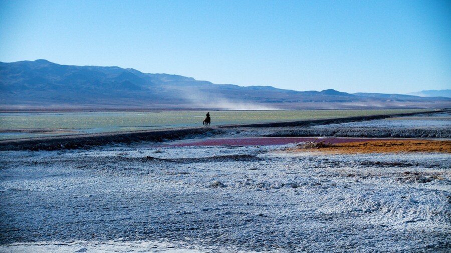 Doug Aitken’s New Film Is a Mystical Ode to the Landscape of Los ...