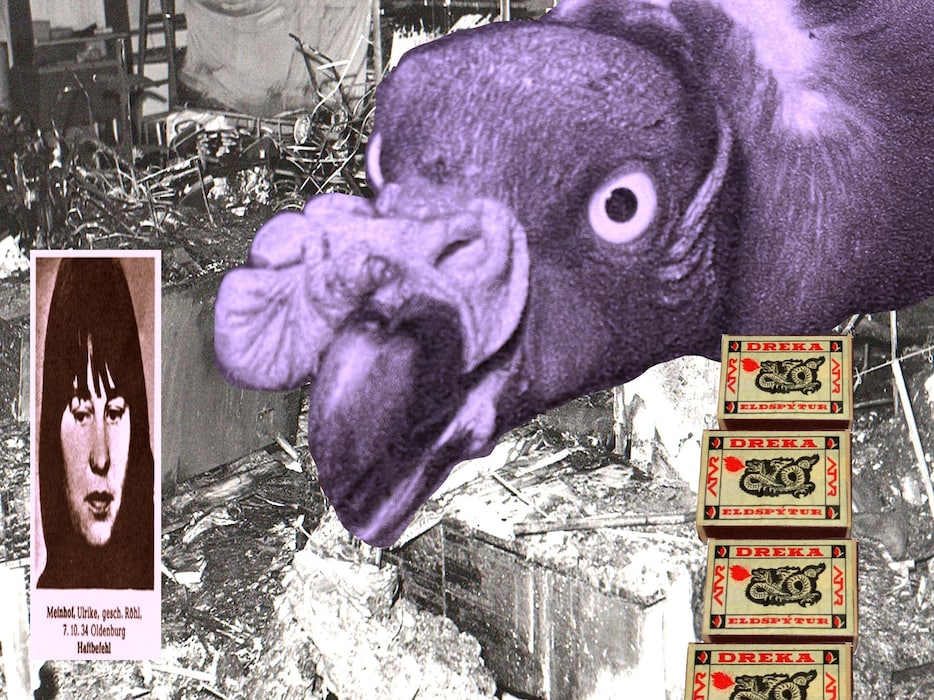 Sjón, the Icelandic Poet Behind Björk and Robert Eggers’ Best Work ...