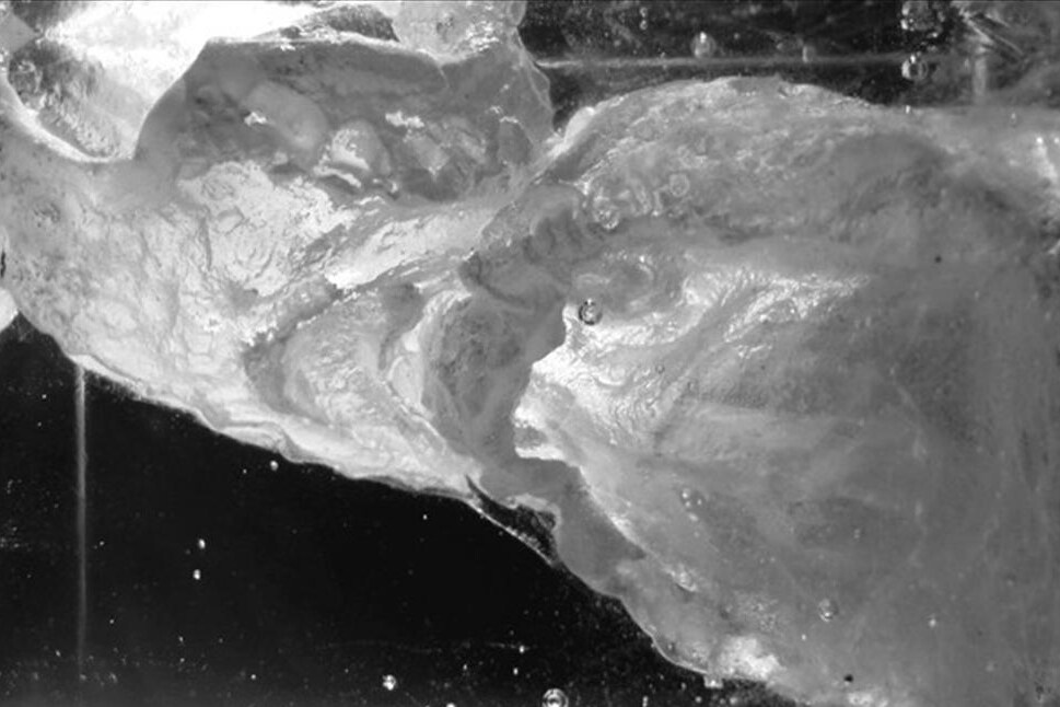 Anatomy of Desire | AnOther